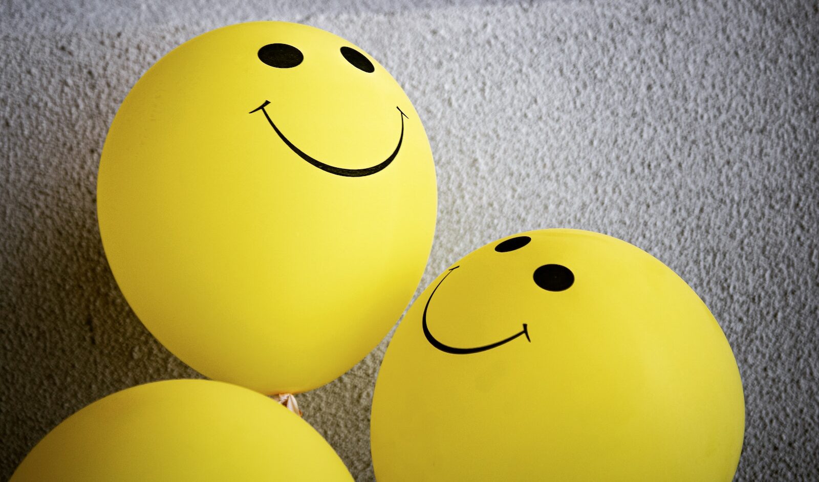 Ein Jahr setzen und dabei gewinnen: Freiwilligendienst im EJW ...